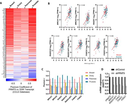 PRMT5 Inhibitors Regulate DNA Damage Repair Pathways in Cancer Cells and Improve Response to ...