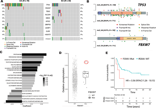 Population-specific Mutation Patterns in Breast Tumors from African ...