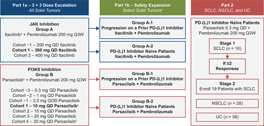 Combination of Itacitinib or Parsaclisib with Pembrolizumab in Patients ...