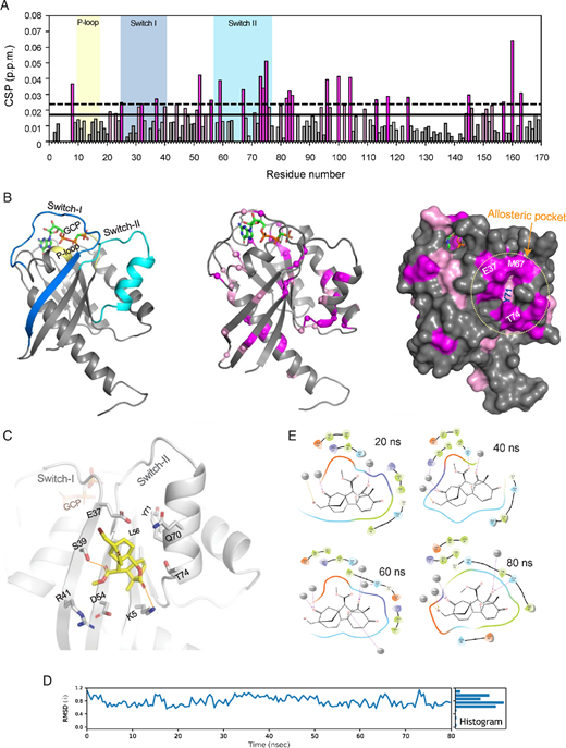 Discovery of KRB-456, a KRAS G12D Switch-I/II Allosteric Pocket Binder ...