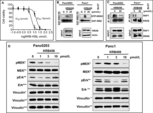 Discovery of KRB-456, a KRAS G12D Switch-I/II Allosteric Pocket Binder ...