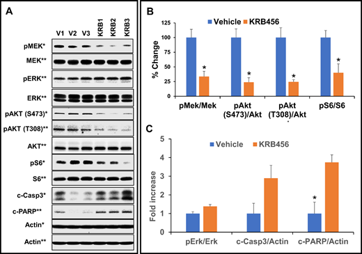 Discovery of KRB-456, a KRAS G12D Switch-I/II Allosteric Pocket Binder ...