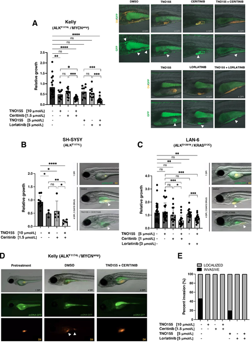 SHP2 Inhibition with TNO155 Increases Efficacy and Overcomes Resistance ...