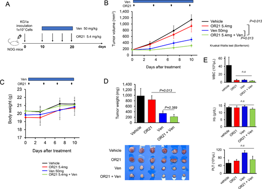 Combination of a New Oral Demethylating Agent, OR2100, and Venetoclax ...