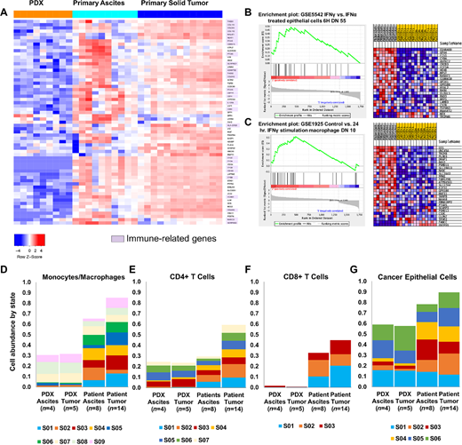 Humanized Patient-derived Xenograft Models of Disseminated Ovarian Cancer Recapitulate Key ...