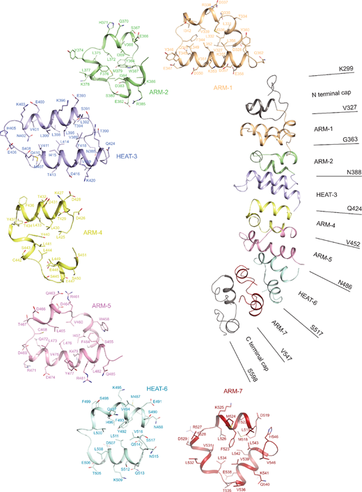 Structures of Cancer Antigen Mesothelin and Its Complexes with ...
