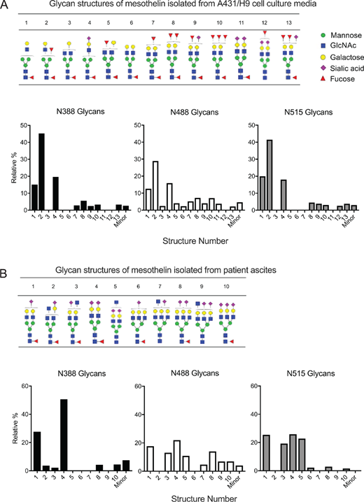Structures of Cancer Antigen Mesothelin and Its Complexes with ...