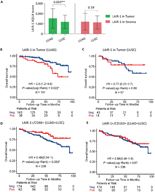 Quantitative, Spatially Defined Expression of Leukocyte-associated ...