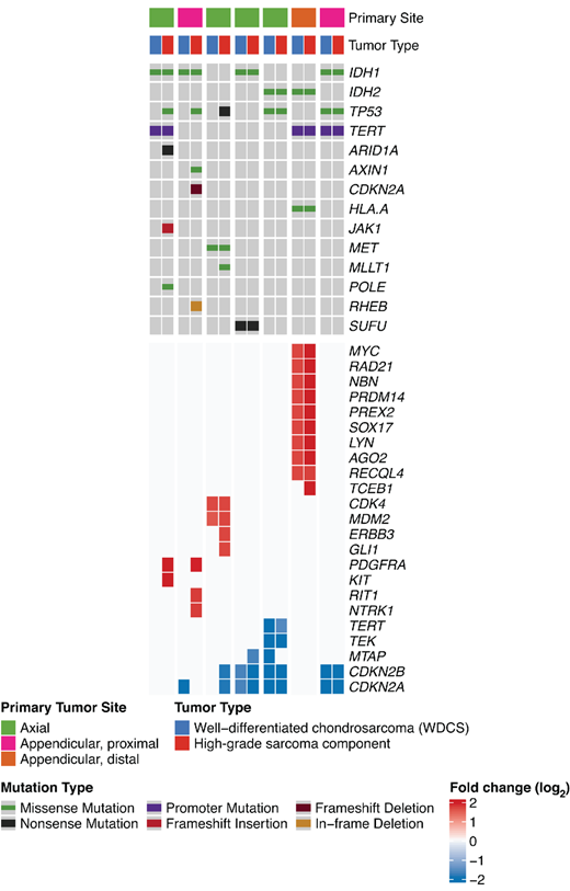 Distinct IDH1/2-associated Methylation Profile and Enrichment of TP53 ...