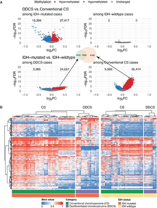 Distinct IDH1/2-associated Methylation Profile and Enrichment of TP53 ...