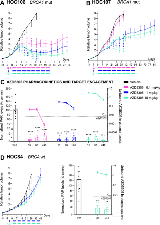 The PARP1 Inhibitor AZD5305 Impairs Ovarian Adenocarcinoma Progression ...