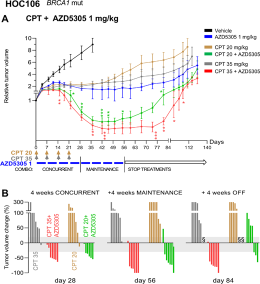 The PARP1 Inhibitor AZD5305 Impairs Ovarian Adenocarcinoma Progression ...