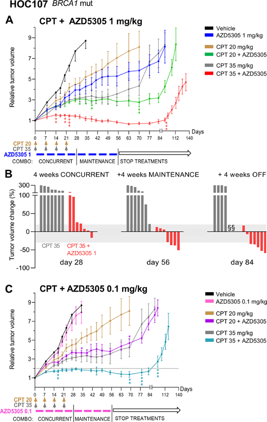 The PARP1 Inhibitor AZD5305 Impairs Ovarian Adenocarcinoma Progression ...
