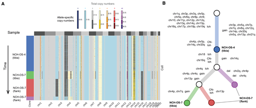 Structurally Complex Osteosarcoma Genomes Exhibit Limited Heterogeneity ...