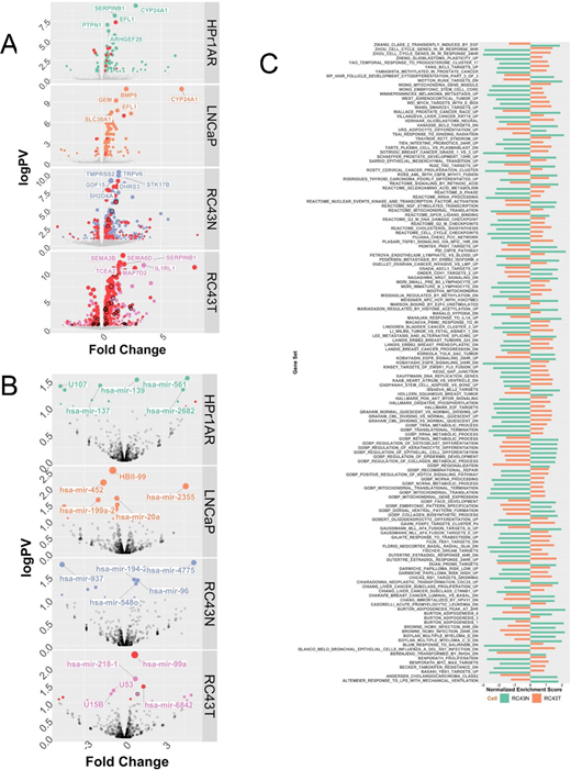 African American Prostate Cancer Displays Quantitatively Distinct ...
