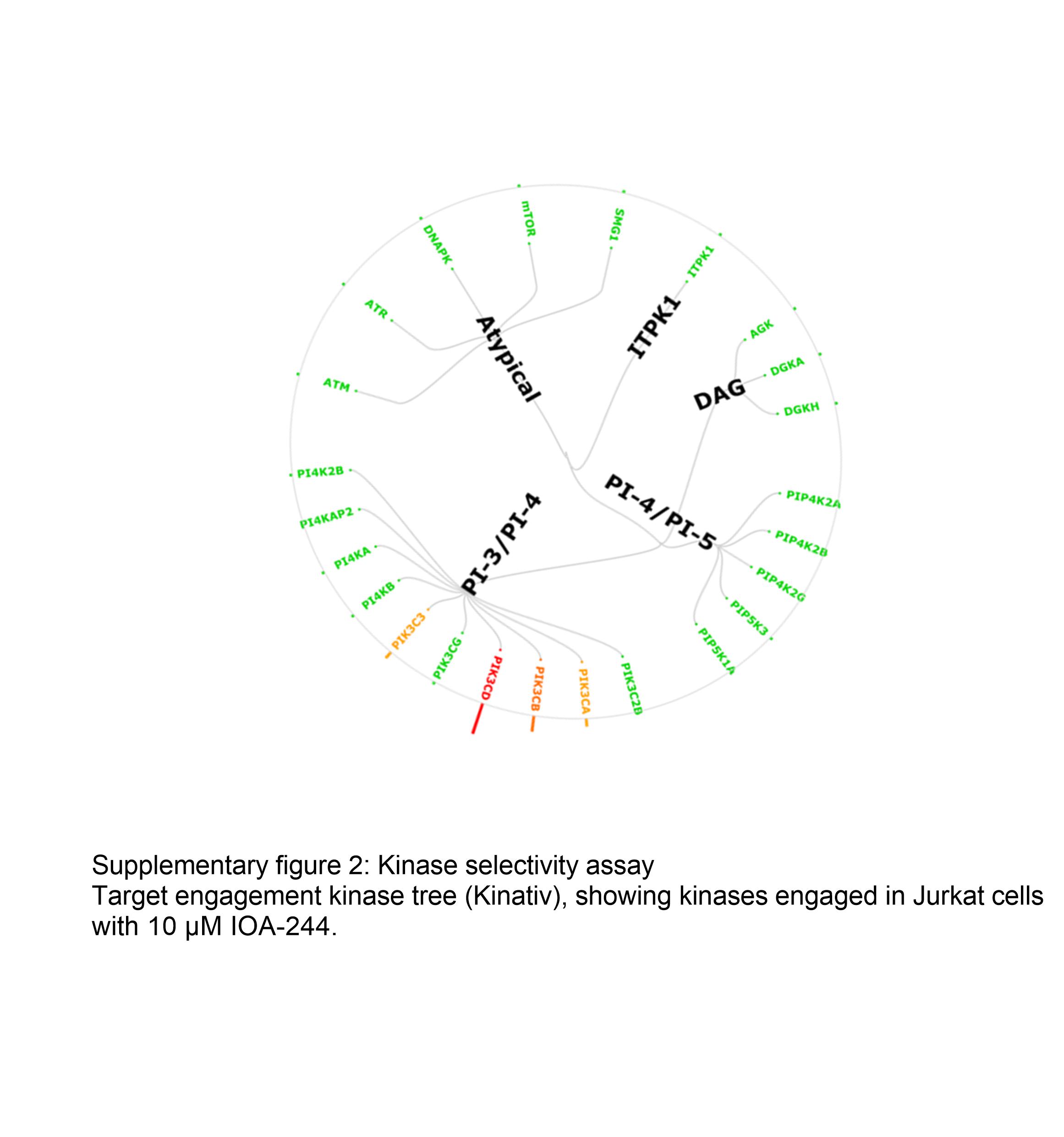 IOA-244 is a Non–ATP-competitive, Highly Selective, Tolerable PI3K Delta Inhibitor That Targets ...