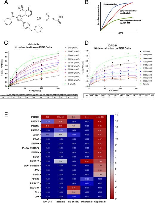 IOA-244 is a Non–ATP-competitive, Highly Selective, Tolerable PI3K Delta Inhibitor That Targets ...
