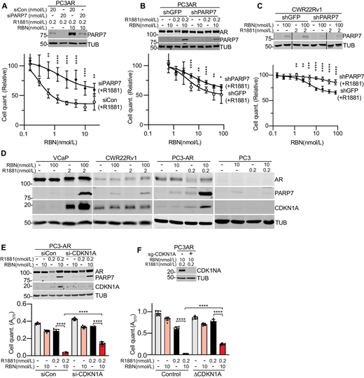 Induction of PARP7 Creates a Vulnerability for Growth Inhibition by ...