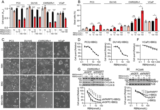 Induction of PARP7 Creates a Vulnerability for Growth Inhibition by ...