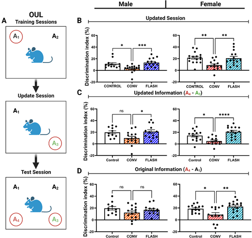 Uncovering the Protective Neurologic Mechanisms of Hypofractionated ...