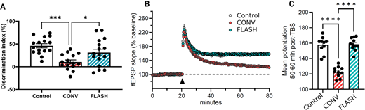 Uncovering the Protective Neurologic Mechanisms of Hypofractionated ...