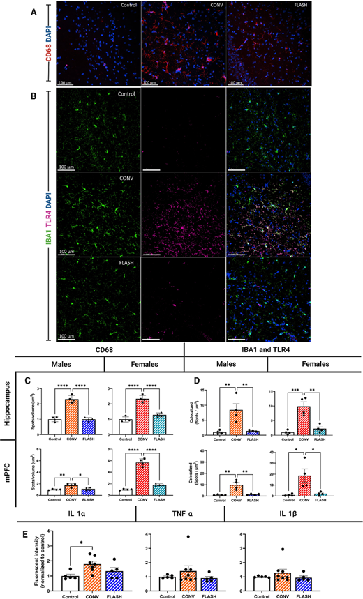 Uncovering the Protective Neurologic Mechanisms of Hypofractionated ...
