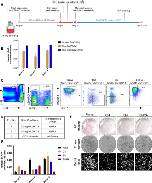 Reprogramming of Tumor-reactive Tumor-infiltrating Lymphocytes to Human ...