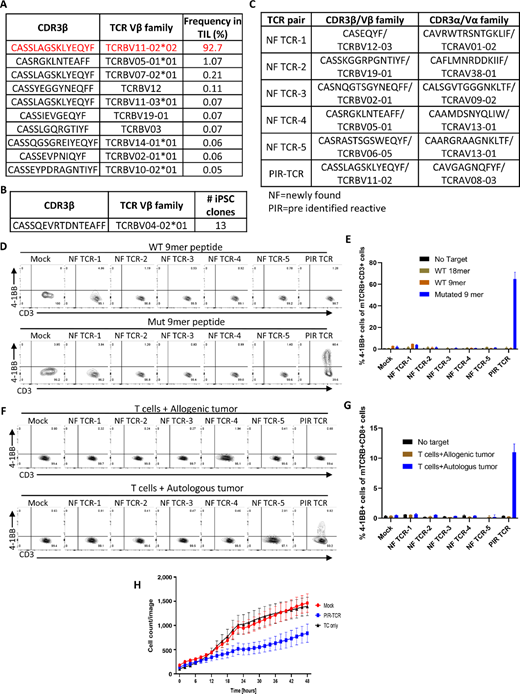 Reprogramming of Tumor-reactive Tumor-infiltrating Lymphocytes to Human ...