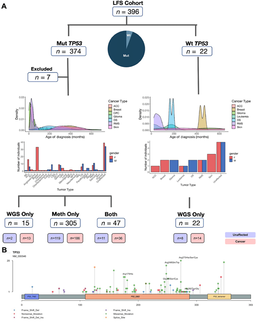 Multiple Germline Events Contribute to Cancer Development in Patients ...