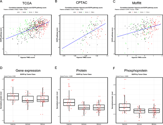 EGFR Inhibition by Cetuximab Modulates Hypoxia and IFN Response Genes ...