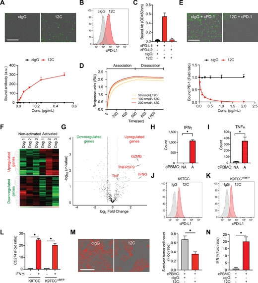 Development of an Anti-canine PD-L1 Antibody and Caninized PD-L1 Mouse ...