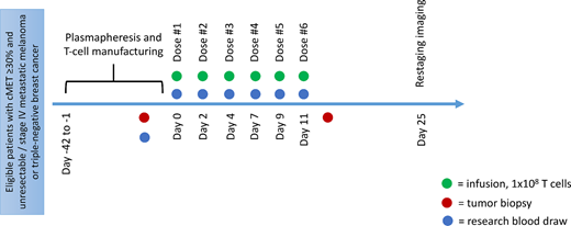 Phase I Trial of Autologous RNA-electroporated cMET-directed CAR T ...