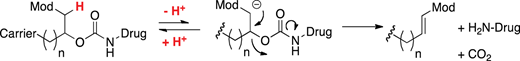 A Very Long-acting Exatecan and Its Synergism with DNA Damage Response ...
