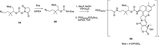 A Very Long-acting Exatecan and Its Synergism with DNA Damage Response ...