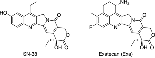 A Very Long-acting Exatecan and Its Synergism with DNA Damage Response ...