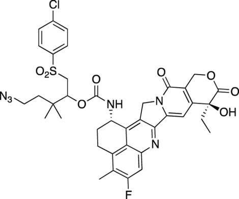 A Very Long-acting Exatecan and Its Synergism with DNA Damage Response ...