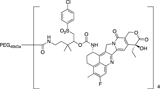 A Very Long-acting Exatecan and Its Synergism with DNA Damage Response ...