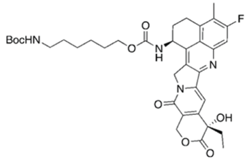 A Very Long-acting Exatecan and Its Synergism with DNA Damage Response ...