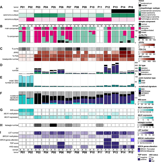 Dissecting the Origin of Heterogeneity in Uterine and Ovarian ...