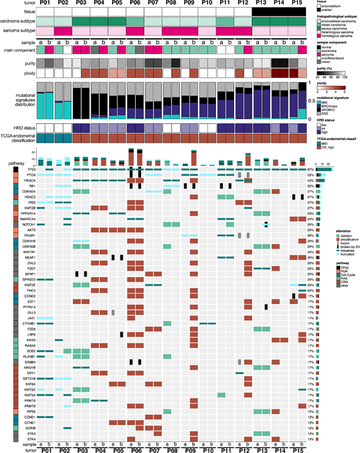 Dissecting the Origin of Heterogeneity in Uterine and Ovarian ...