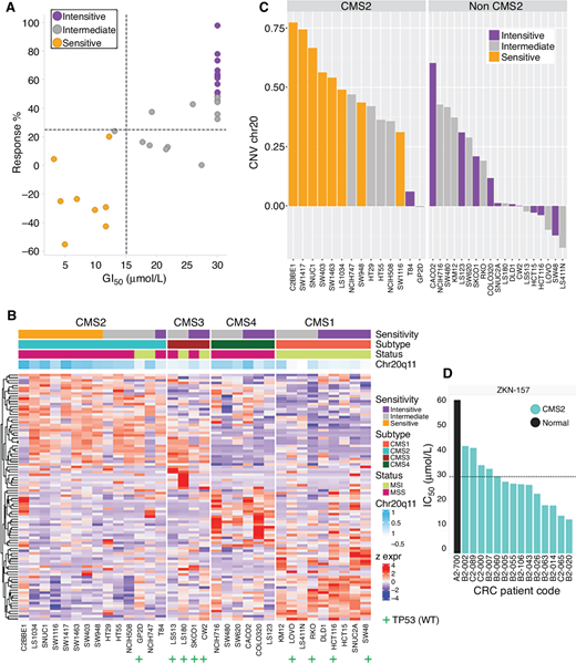 A Novel Class of Ribosome Modulating Agents Exploits Cancer Ribosome ...
