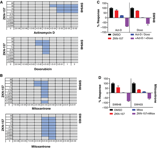 A Novel Class of Ribosome Modulating Agents Exploits Cancer Ribosome ...