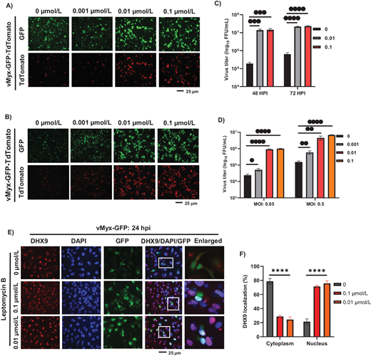 Nuclear Export Inhibitor Selinexor Enhances Oncolytic Myxoma Virus ...