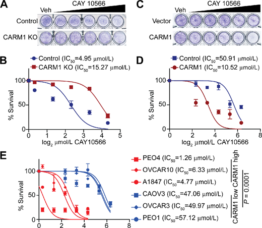 Targeting Fatty Acid Reprogramming Suppresses CARM1-expressing Ovarian ...