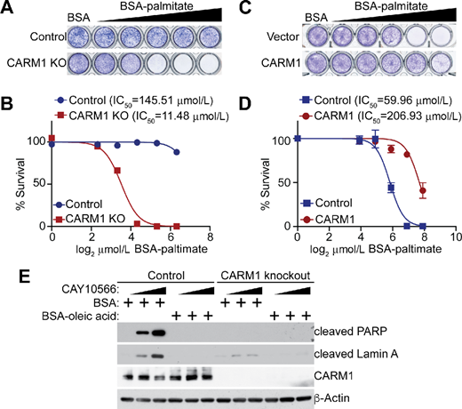 Targeting Fatty Acid Reprogramming Suppresses CARM1-expressing Ovarian ...