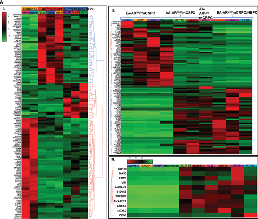 Metronomic Administration of Topotecan Alone and in Combination with ...