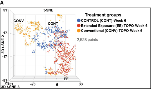 Metronomic Administration of Topotecan Alone and in Combination with ...