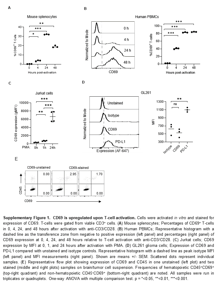 Immuno-PET Imaging of CD69 Visualizes T-Cell Activation and Predicts ...