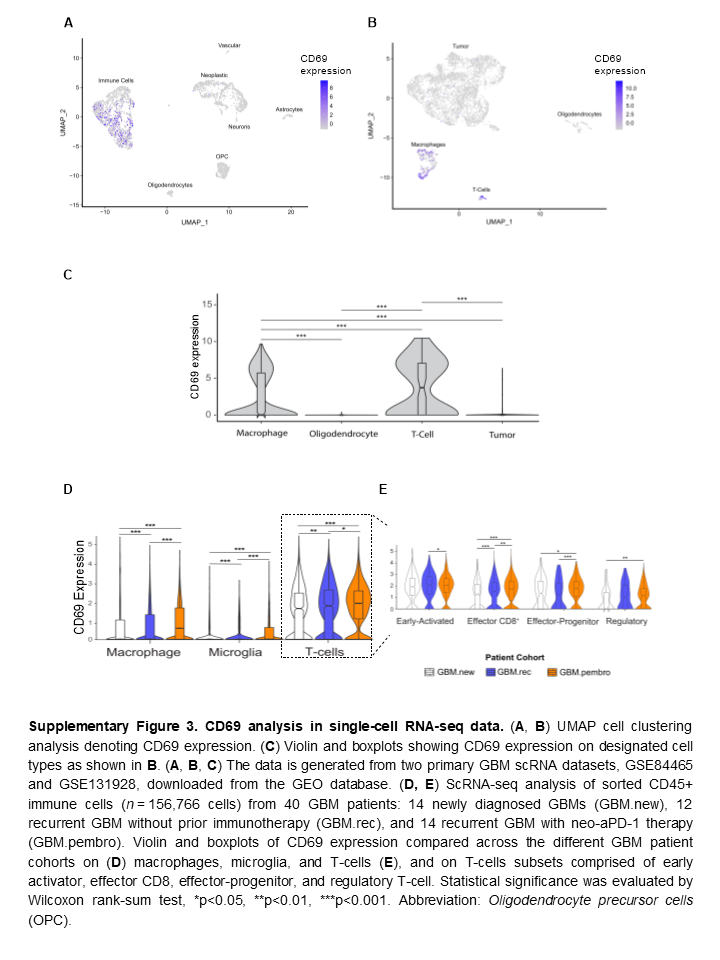 Immuno-PET Imaging of CD69 Visualizes T-Cell Activation and Predicts ...