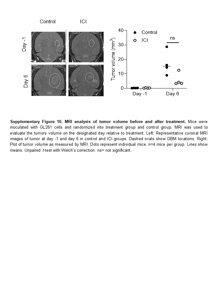 Immuno-PET Imaging of CD69 Visualizes T-Cell Activation and Predicts ...